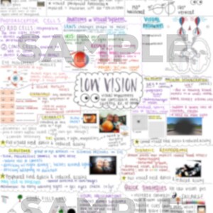 Anatomy of Vision & Low Vision One-page Outline / Concept Map - Etsy