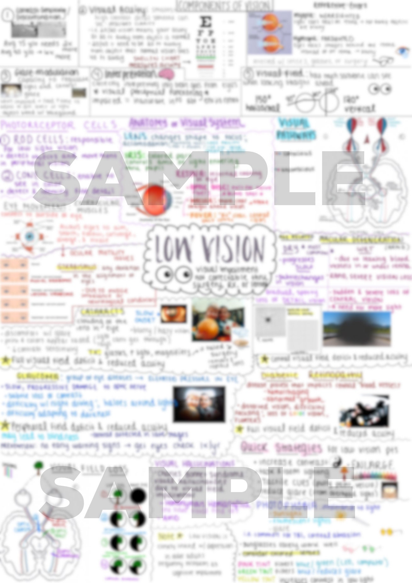 Anatomy of Vision & Low Vision One-page Outline / Concept Map - Etsy