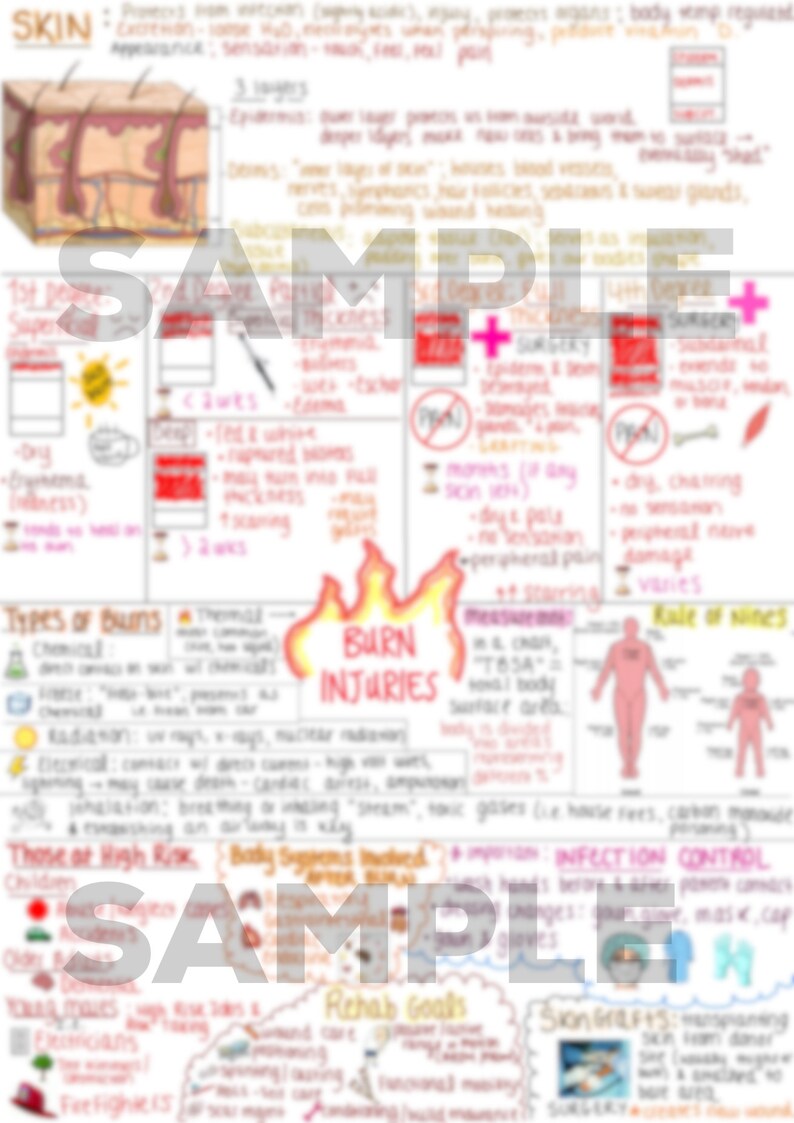 Burn Injuries One-page Outline / Concept Map - Etsy
