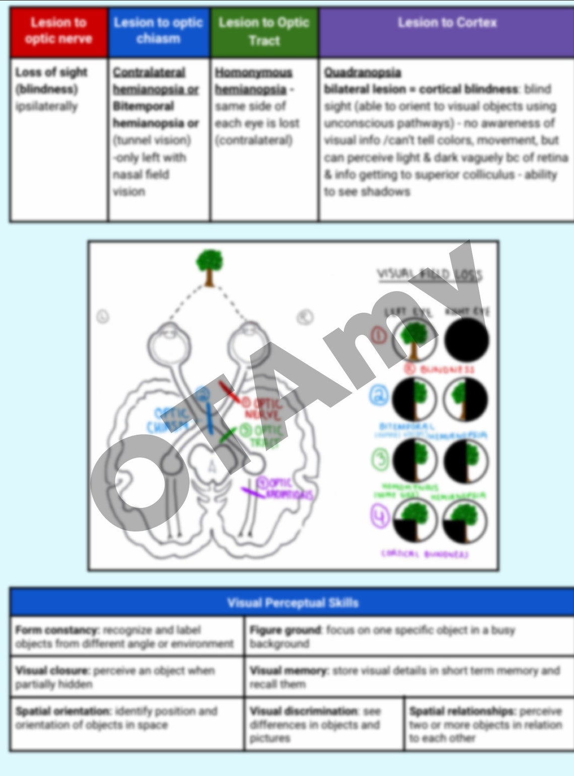 OT Quick Reference Guide for Fieldwork and Practicing - Etsy