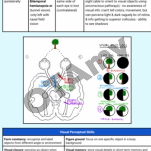 OT Quick Reference Guide - for Fieldwork and Practicing Therapists - Etsy
