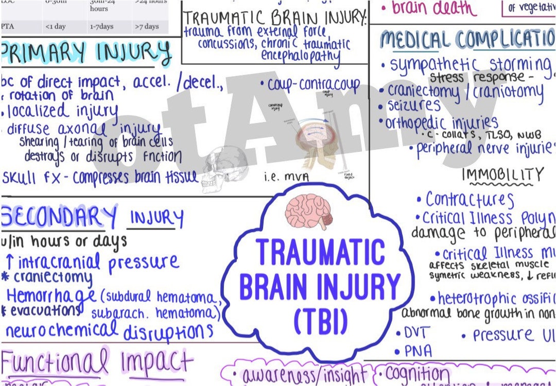 TBI One-page Reference Sheet / Concept Map - Etsy
