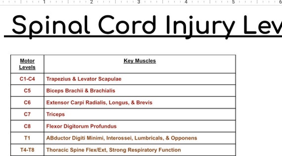 Spinal Cord Injury Levels And Function Chart
