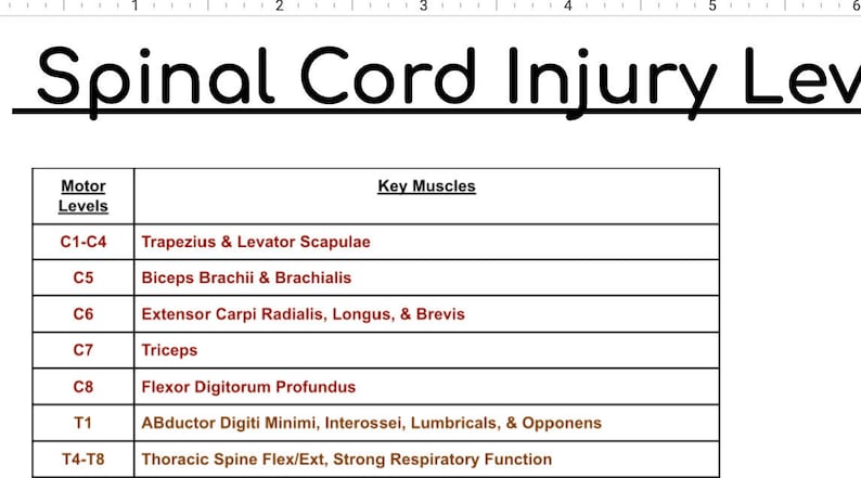 Spinal Cord Injury Concept Map & Expanded Chart - Etsy