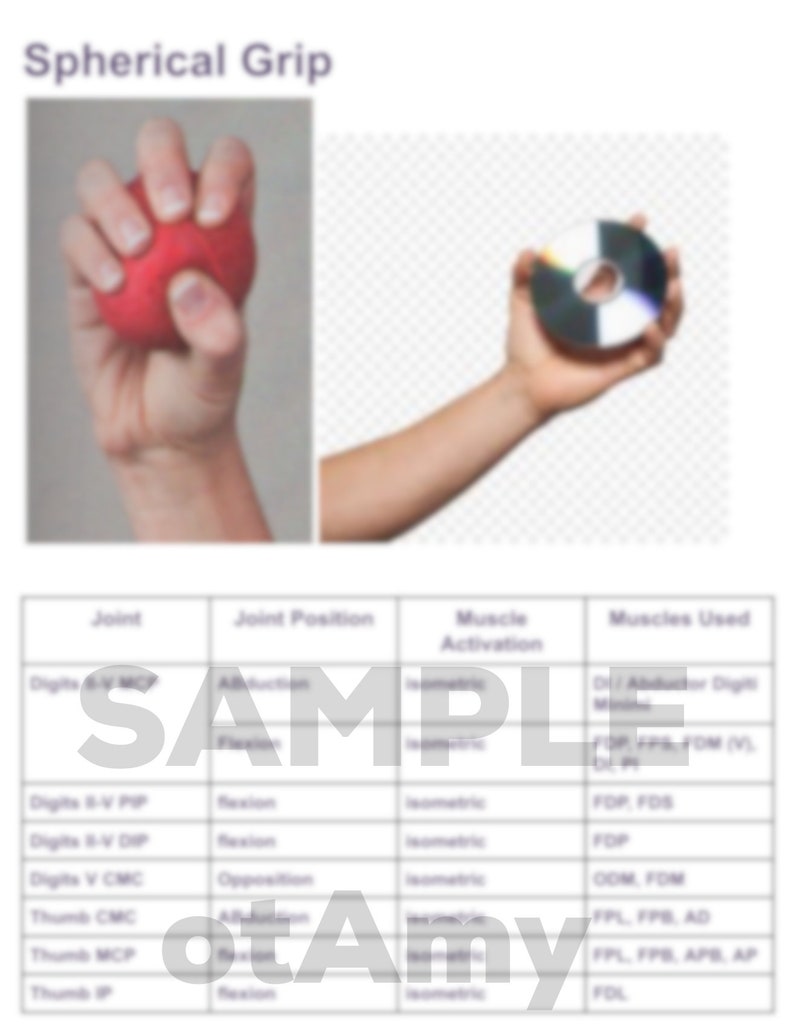 Muscle Grip Chart Study Guide - Anatomy & Kinesiology - Etsy