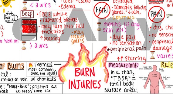 Concept Map For Burns - Emelia Morganica Concept Map For Burns - Emelia Morganica