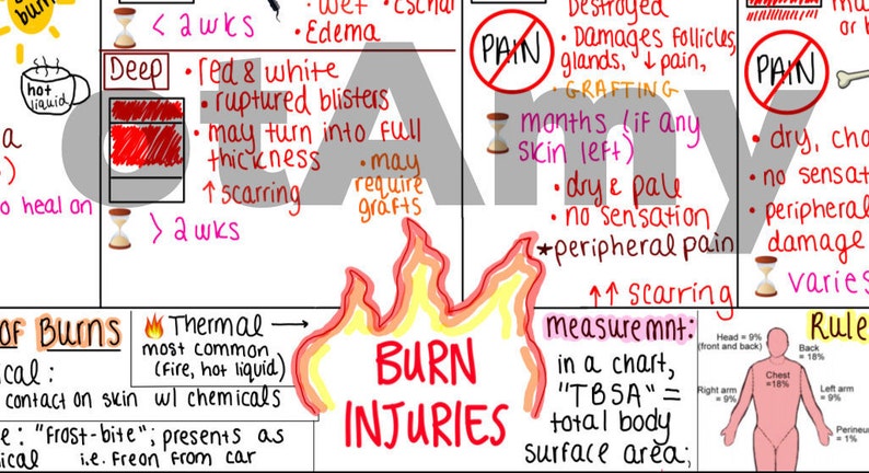 Burn Injuries One-page Outline / Concept Map - Etsy