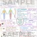 Spinal Cord Injury Concept Map & Expanded Chart - Etsy