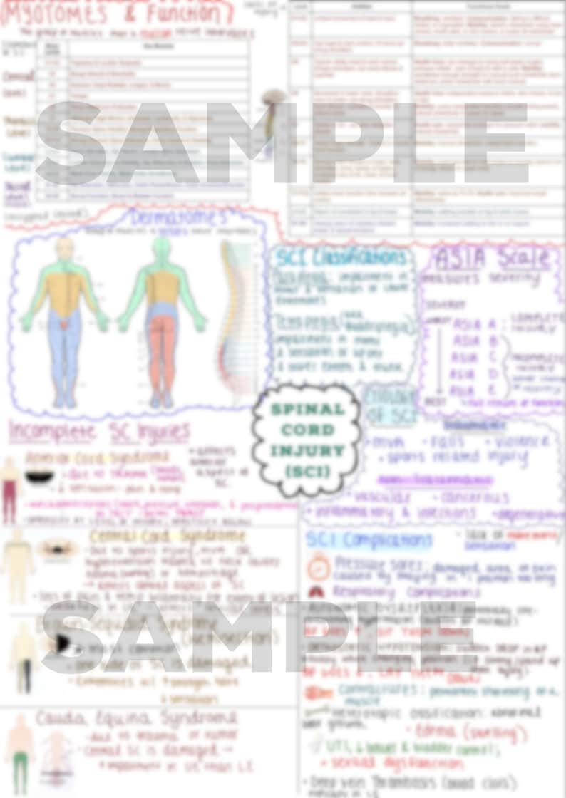 Spinal Cord Injury Concept Map & Expanded Chart - Etsy