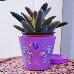 Mini Holographic Moon Phase Planters W/ Drip Tray - Etsy