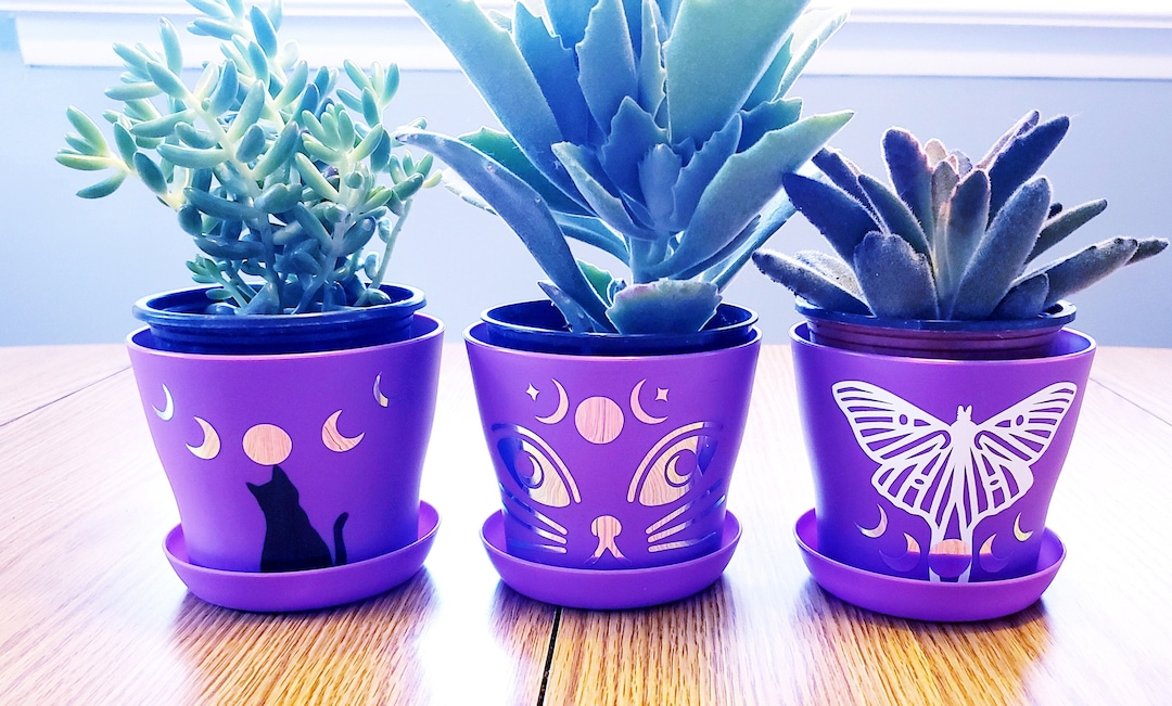 Mini Holographic Moon Phase Planters W/ Drip Tray - Etsy