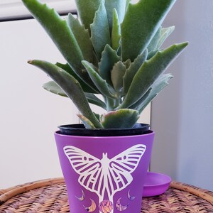 Mini Holographic Moon Phase Planters W/ Drip Tray - Etsy