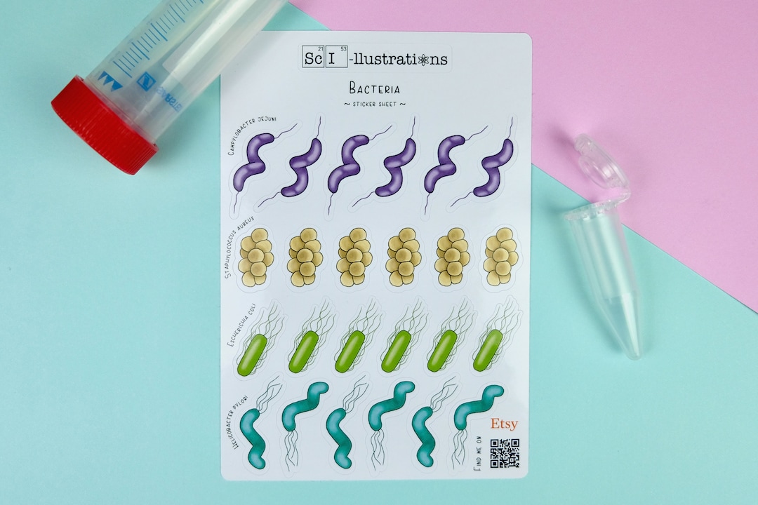Sticker Sheet BACTERIA | Campylobacter | Staphylococcus | E. Coli ...
