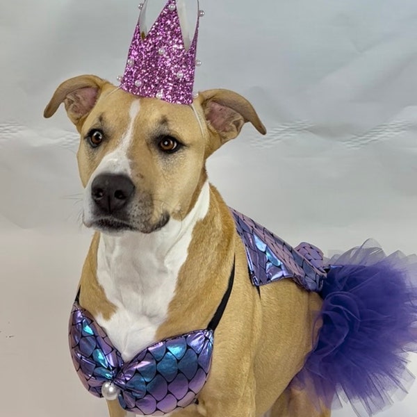 Dog Mermaid Tail - Etsy