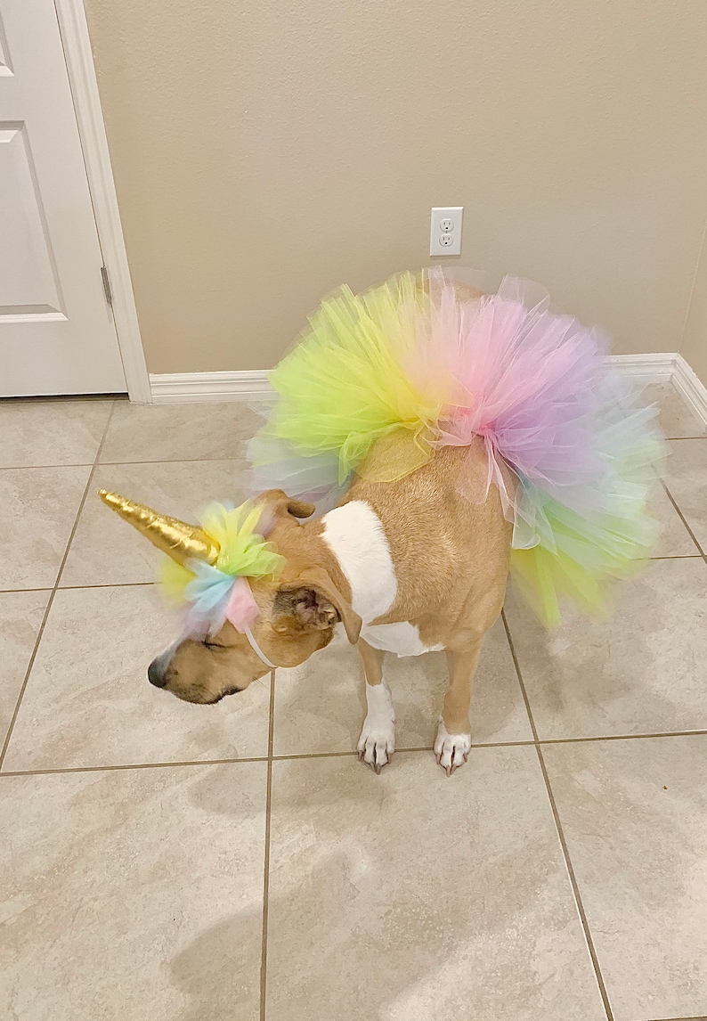 Magical AF Unicorn Dog Costume: Cute, Fluffy, Large Tutu- Gold Horn ...