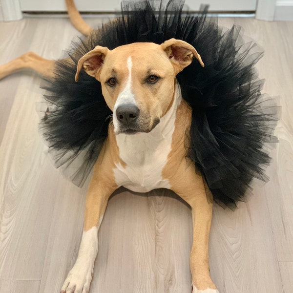Dog Tutu - Etsy