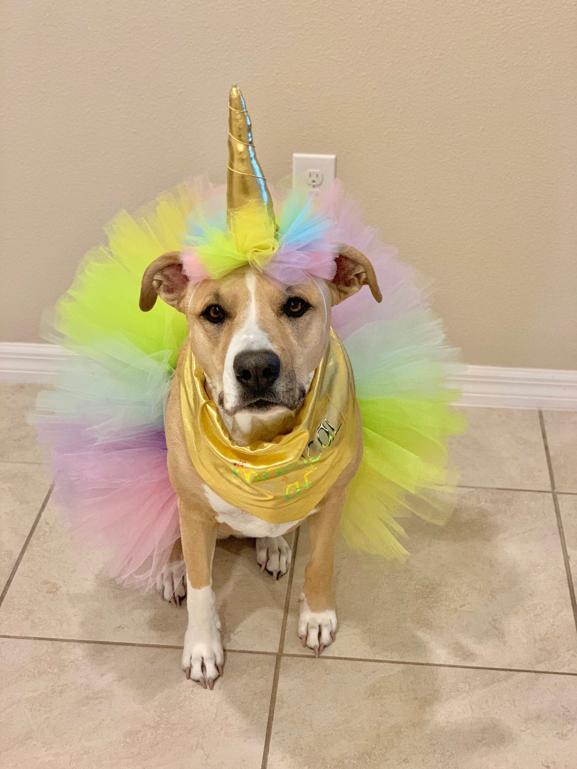 Magical AF Unicorn Dog Costume: Cute Fluffy Large Tutu Gold - Etsy