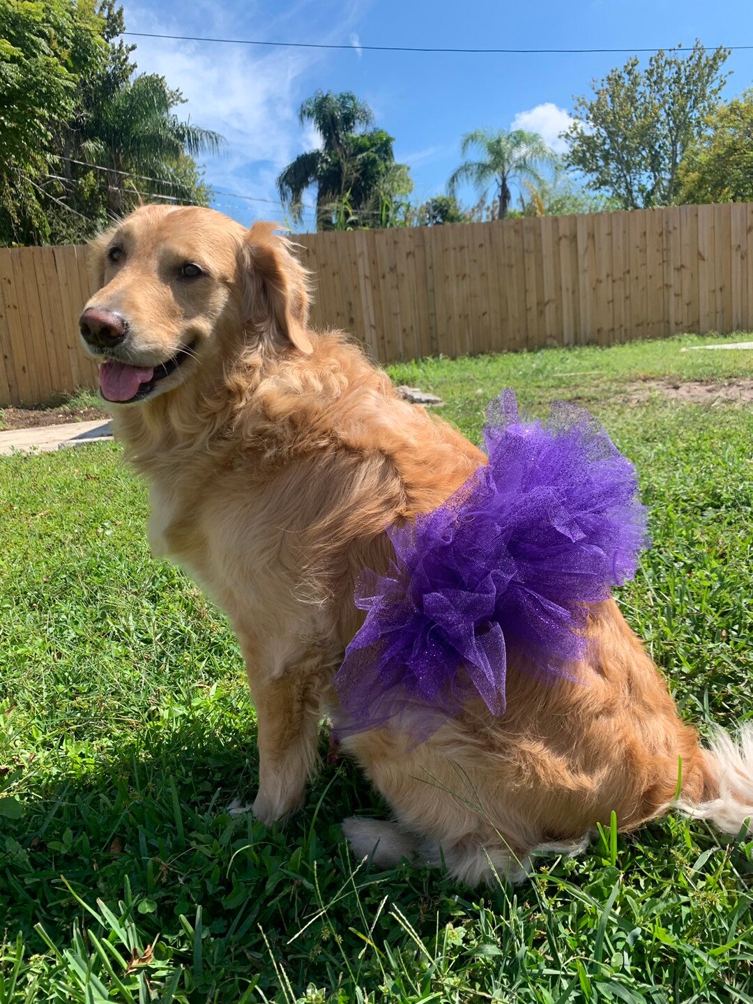 Purple Princess Dog Tutu: Cute, Fluffy Princess Dog Skirt - Dog ...