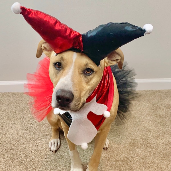 Jester Costume - Etsy