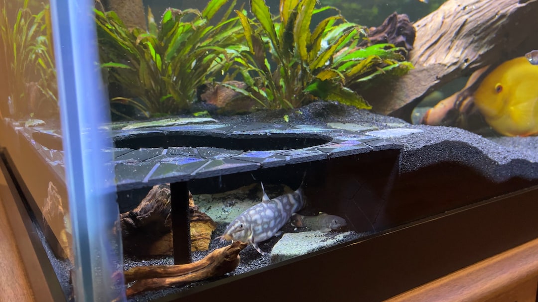 Aquarium/terrarium Corner Tunnel Fish Cave Fish Hide Reptile Hide 2 ...