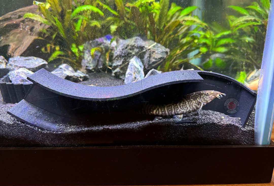 3D Printed Aquarium Tunnel: Fish & Reptile Hide Cave - Etsy