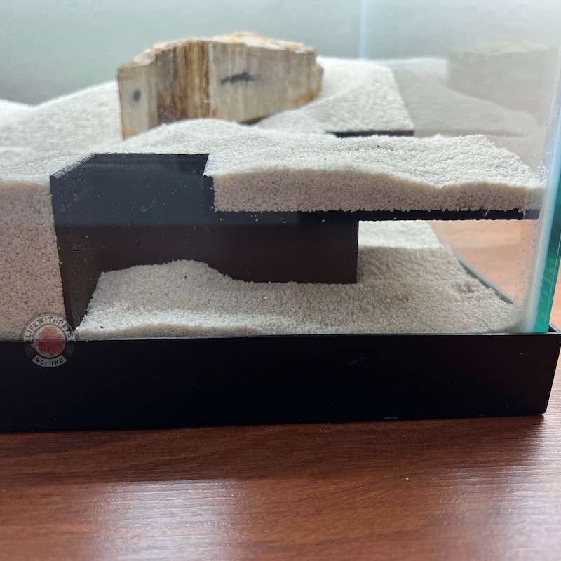 Aquarium Undergravel Fish Hide - Etsy