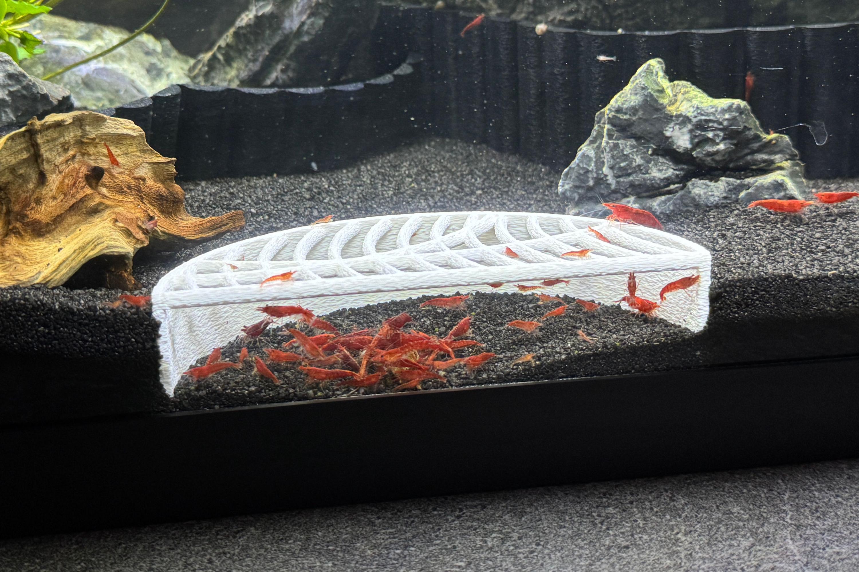Shrimp Cave Shrimp Hide Shrimp Tunnel Free Shipping 2 Colors, Sizes ...