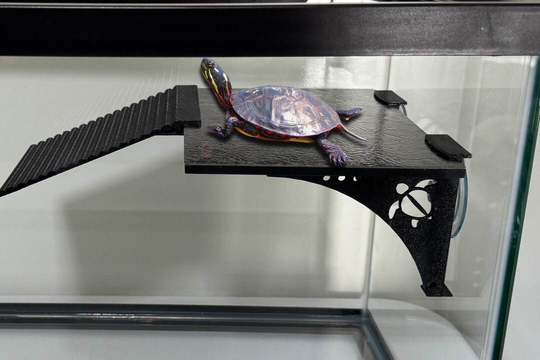 Turtle Basking Dock Turtle Dock Turtle Basking Platform Turtle Basking ...