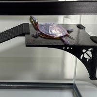 Tank Topper Turtle Dock! Sits on Top of Your Aquarium and Fits 18-19 ...