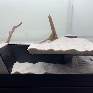 Extra Large Corner Aquarium and Terrarium Tunnel With Angles Sides ...