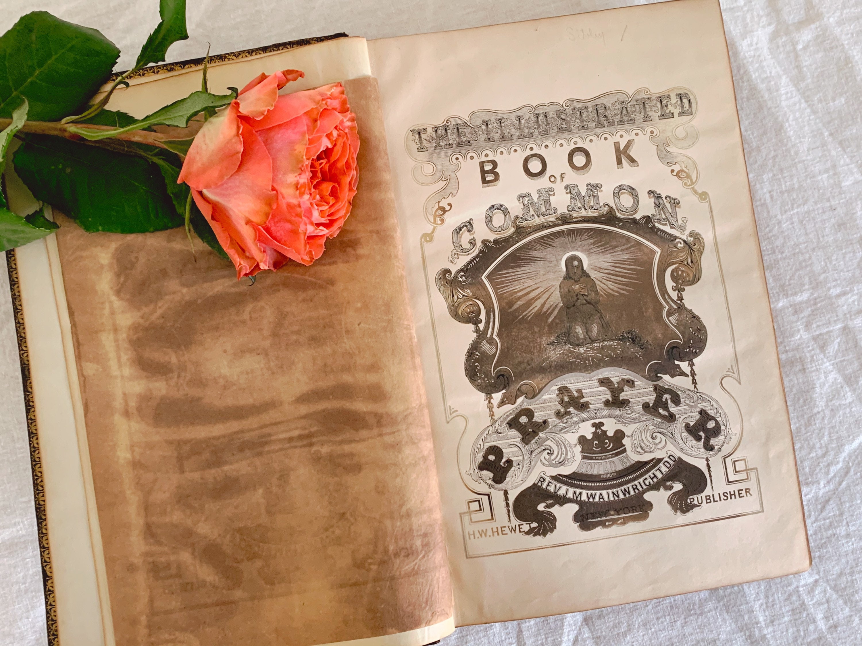 Antique the Illustrated Book of Common Prayer - Etsy