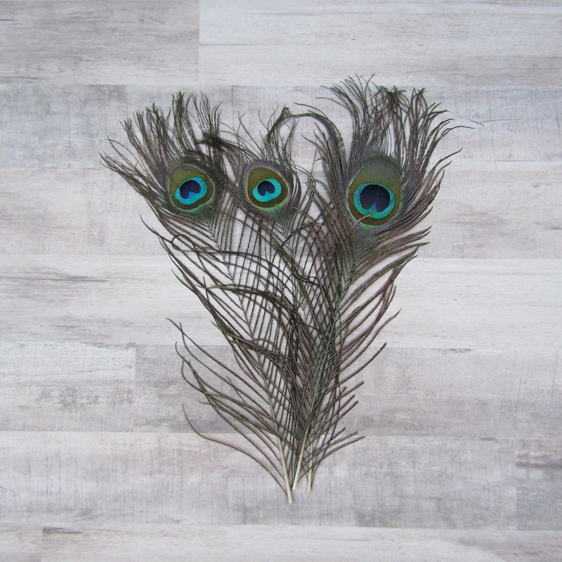 Peacock Headband - Etsy