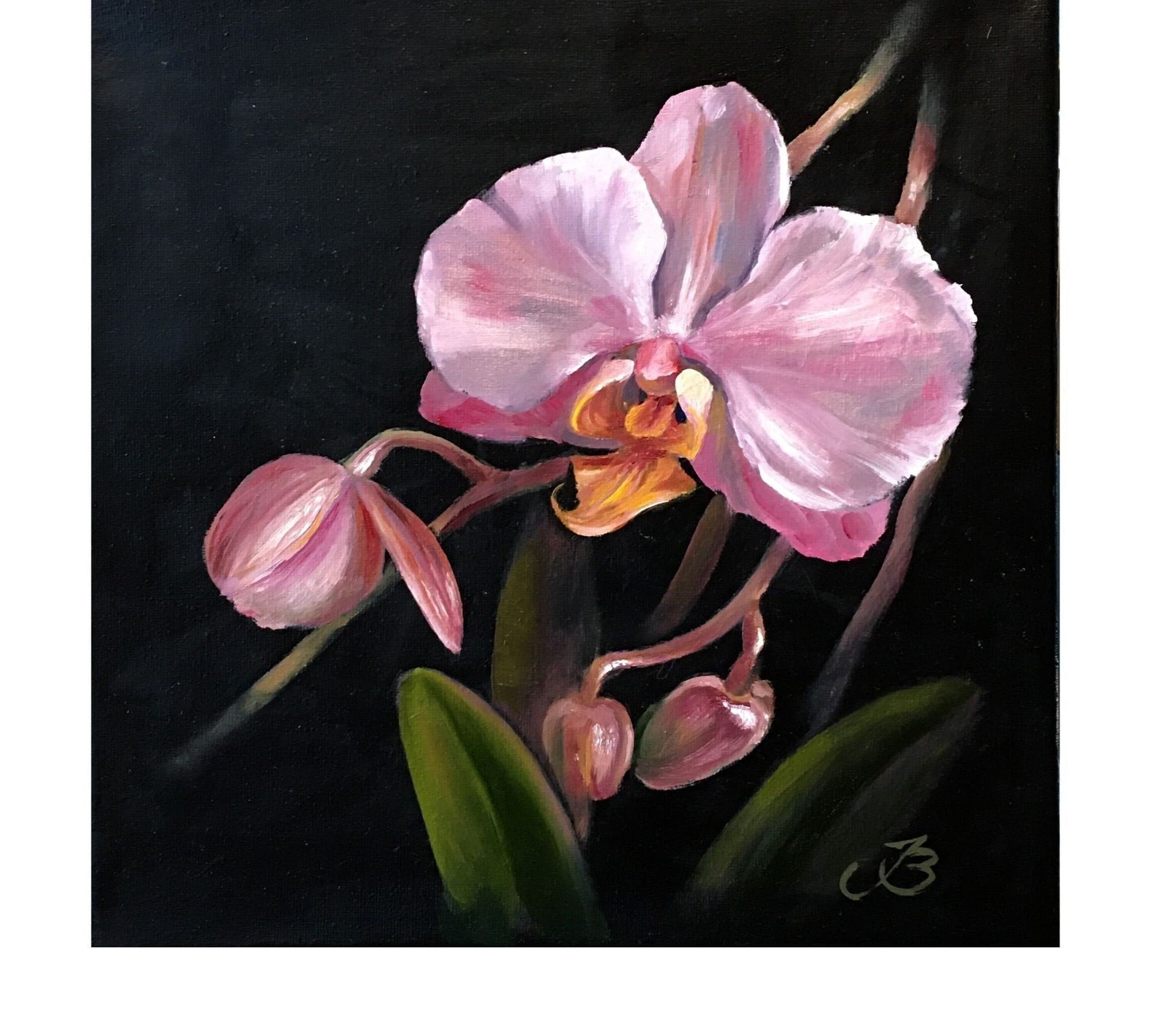 Orchid Painting Floral Original Art Flower Wall Art Orchid Painting on ...