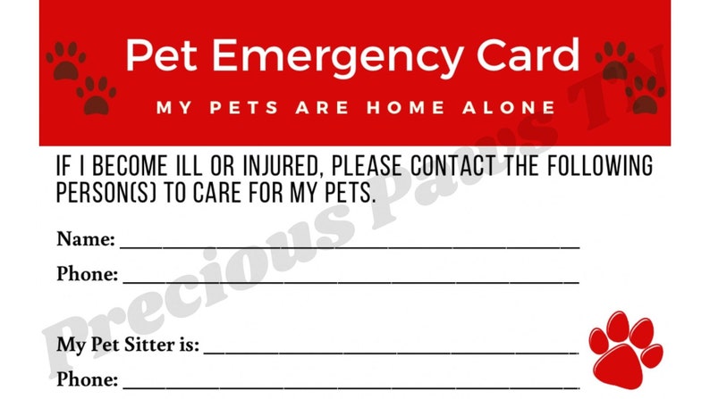 Pet Emergency Card - Etsy