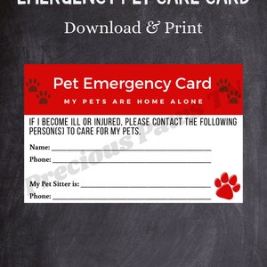 Pet Emergency Card - Etsy