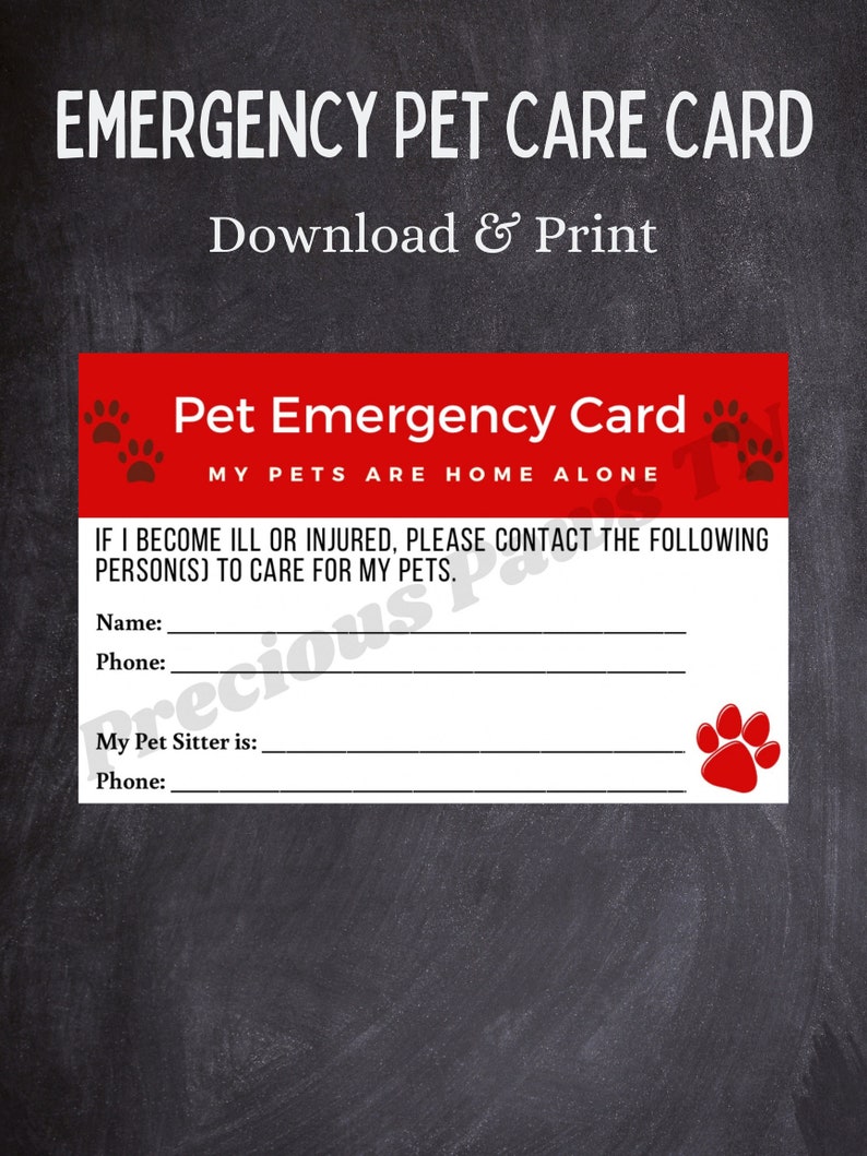 Pet Emergency Card - Etsy