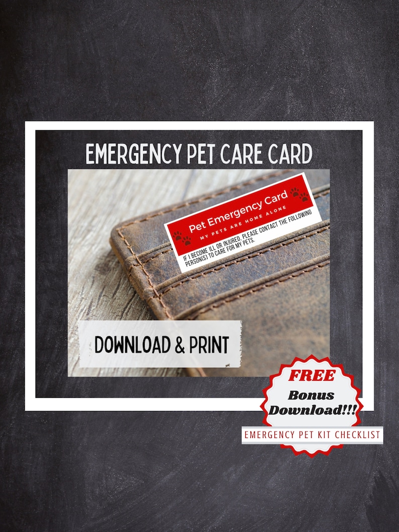 Pet Emergency Card - Etsy