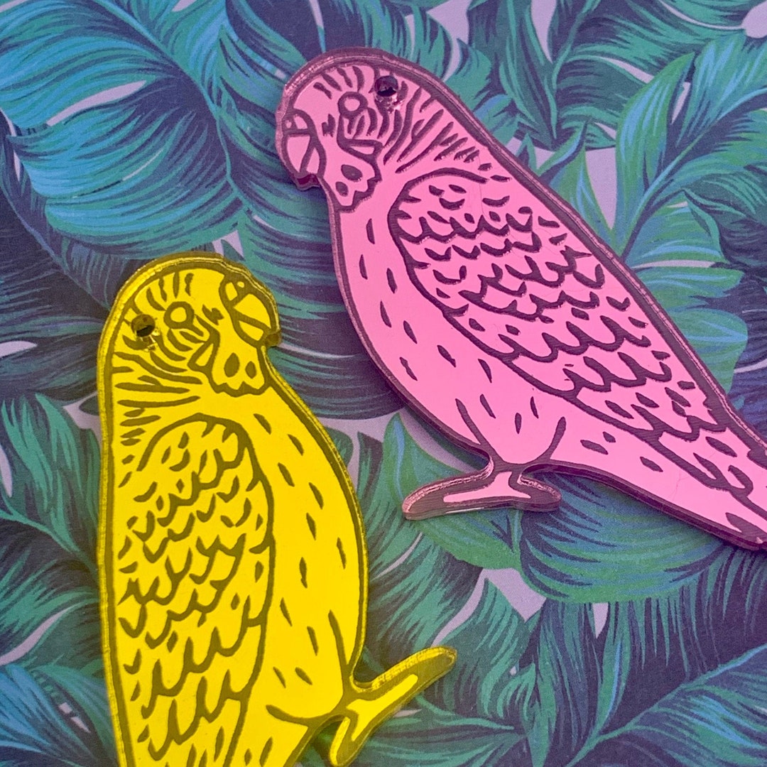 10 Pcs Budgerigar Bird Laser Cut Shapes - Etsy UK