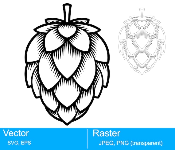 Beer Hops Flower Digital Illustration | Etsy