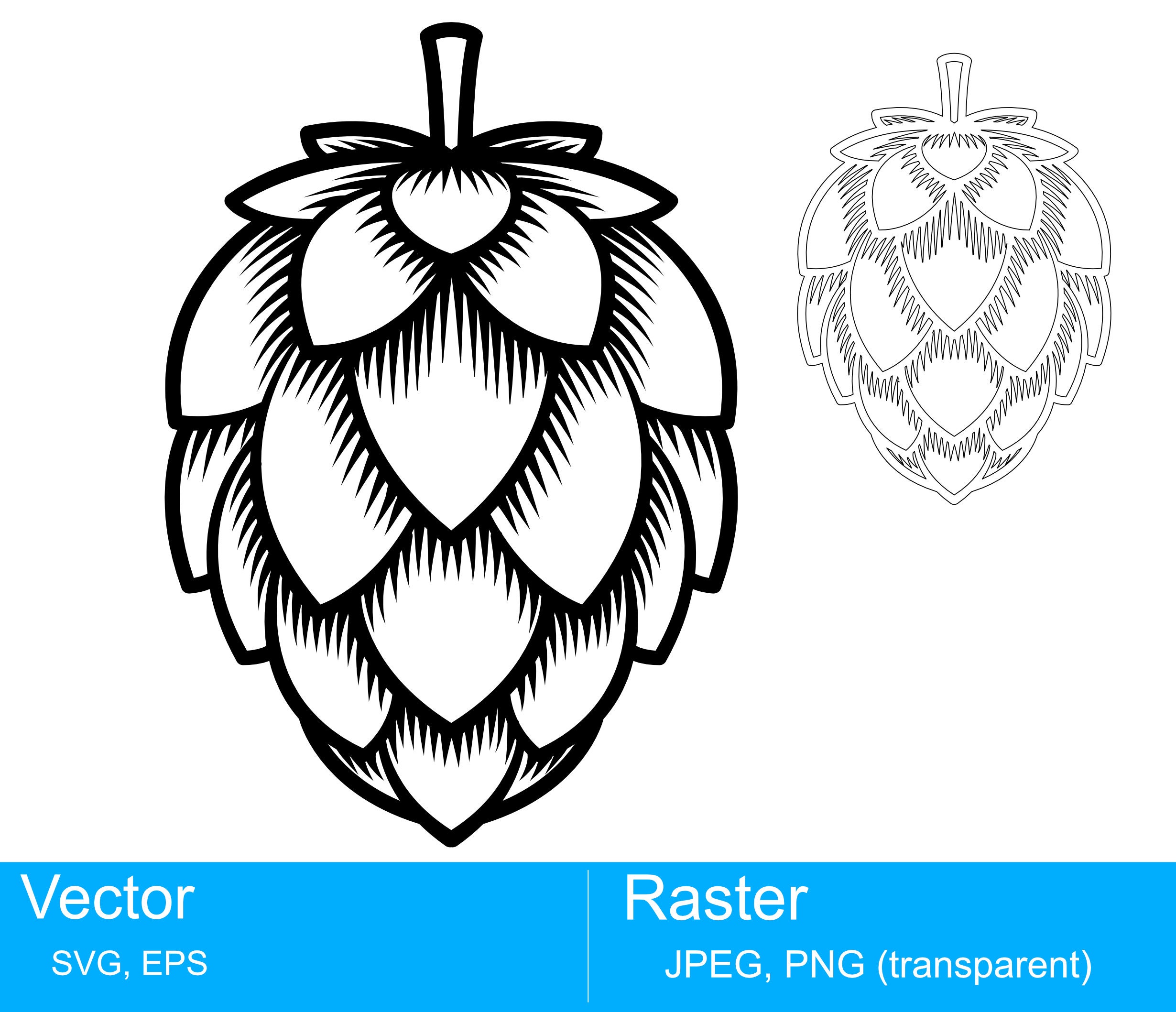 Beer Hops Flower Digital Illustration - Etsy