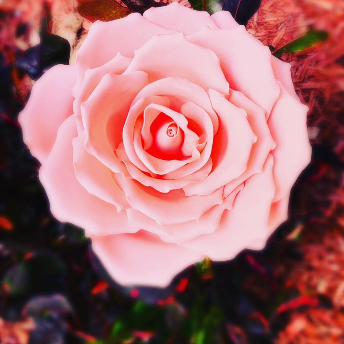 Large Flowers Made of Silk Foam foamiran for Your - Etsy