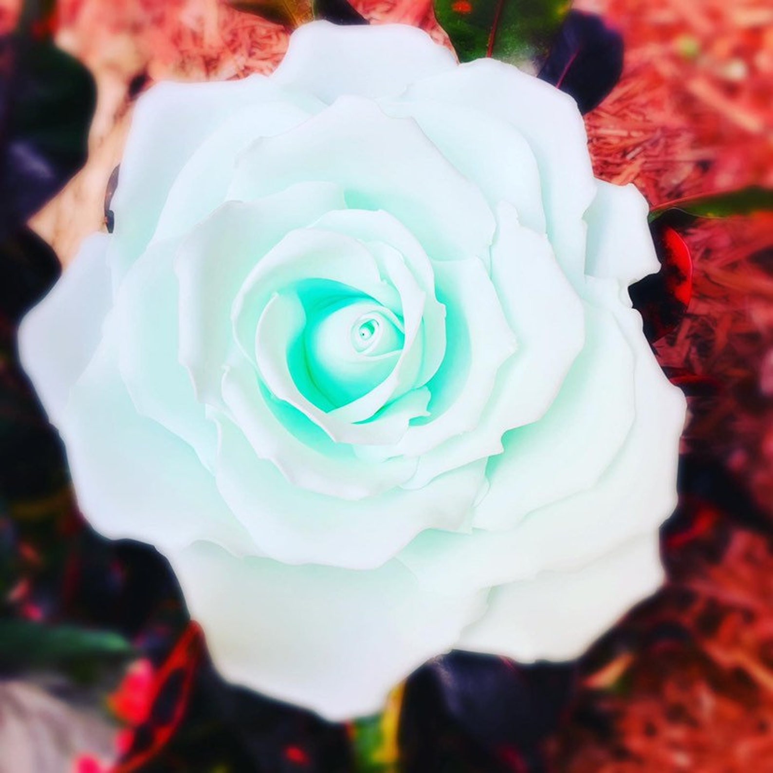 Large Flowers Made of Silk Foam foamiran for Your | Etsy