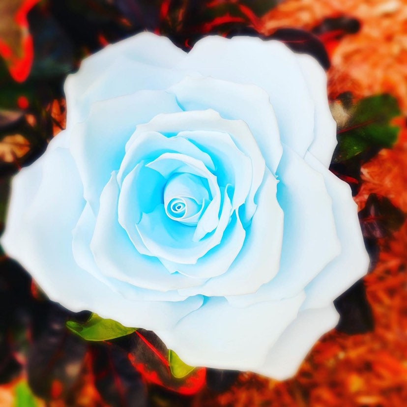 Large Flowers Made of Silk Foam foamiran for Your | Etsy