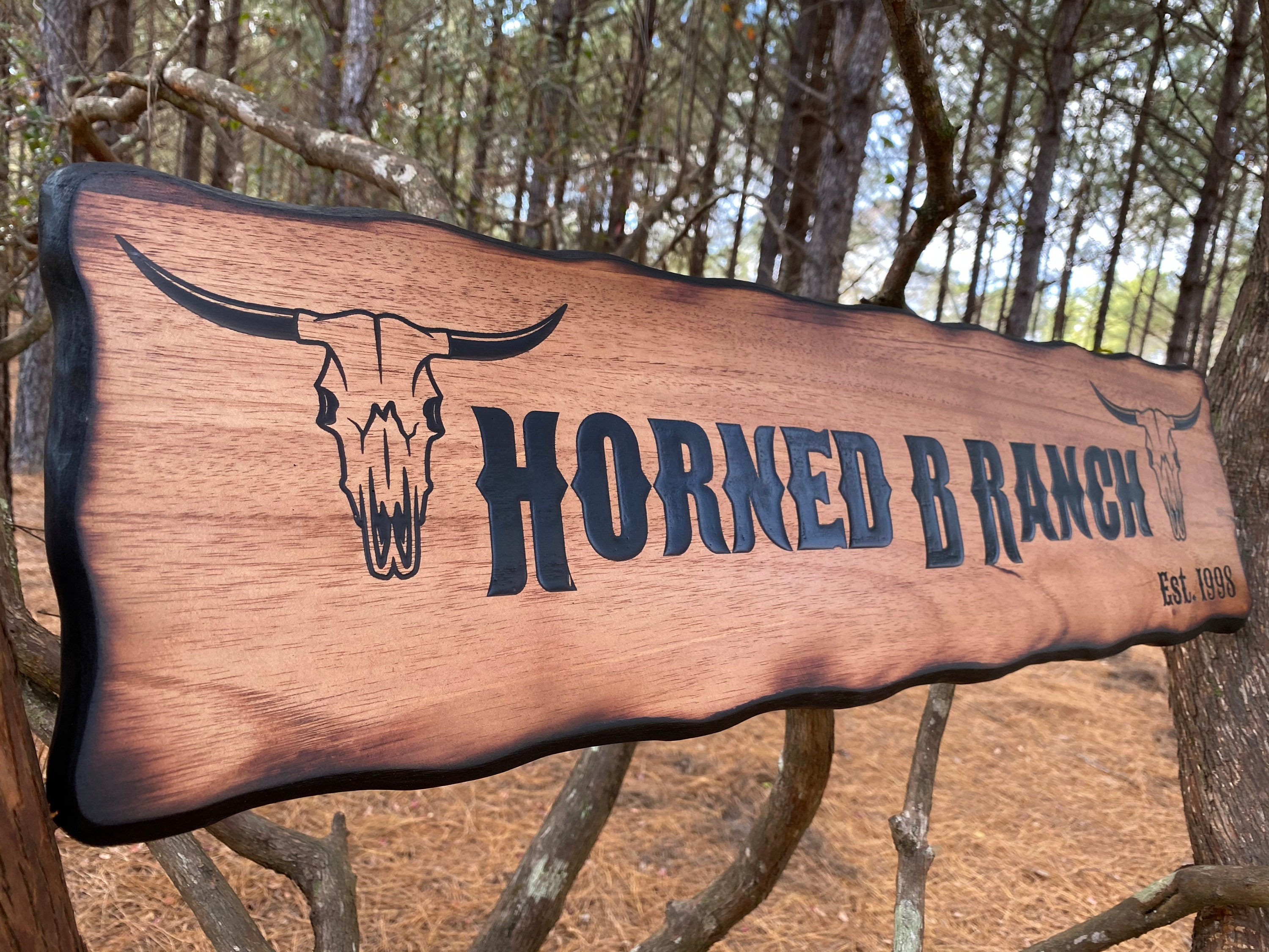 Outdoor Ranch House Wood Sign, Personalized Bull Horn Decoration ...