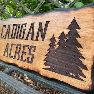 Rustic Wood Family Name Sign, Outdoor Personalized Cabin Hanging Decor ...