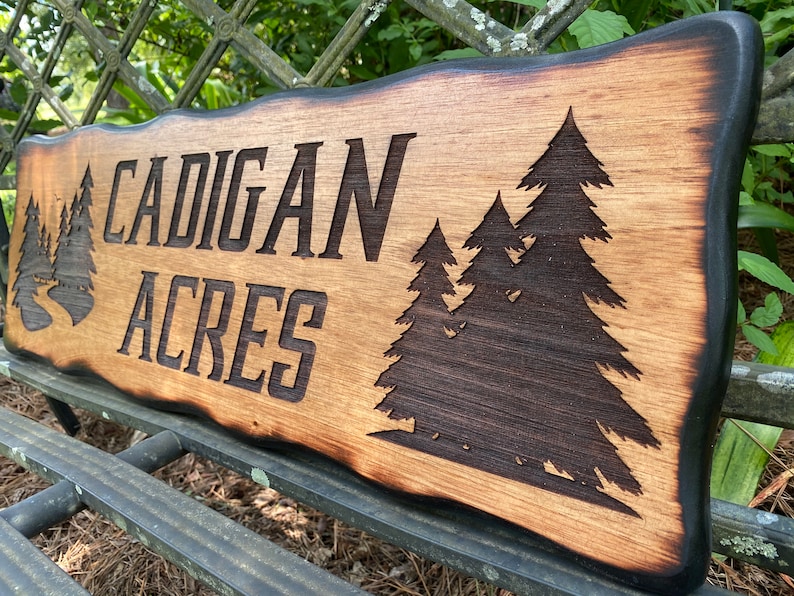 Rustic Wood Family Name Sign Outdoor Personalized Cabin - Etsy