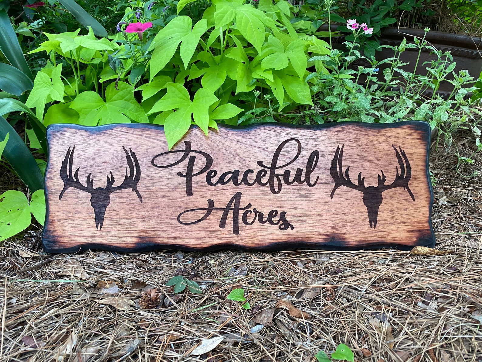 Custom Name Rustic Wood Sign Personalized Western Decor | Etsy