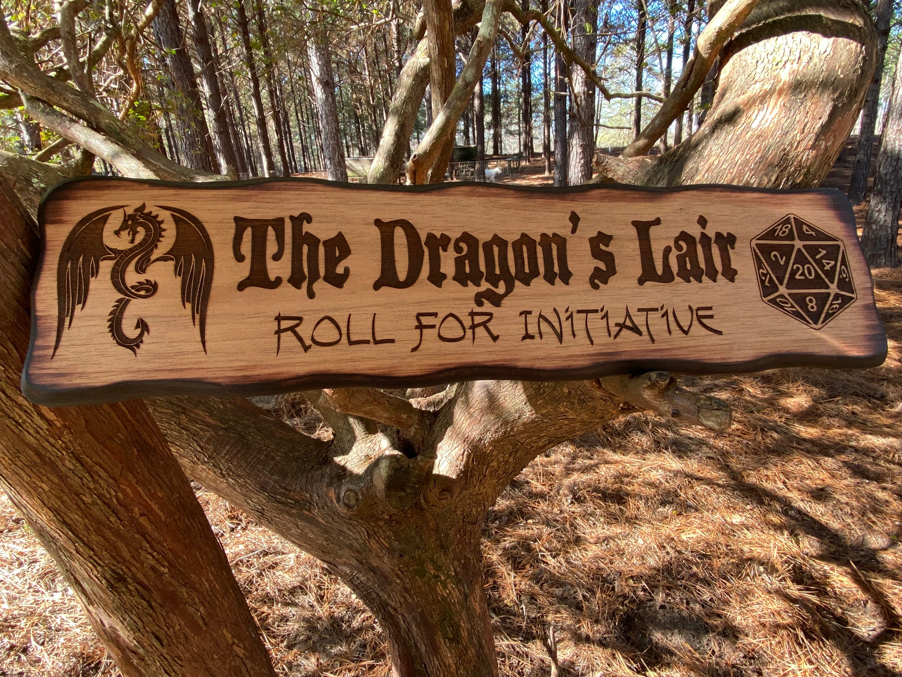 Dungeons and Dragons Wall Sign D20 and Dragon Personalized - Etsy