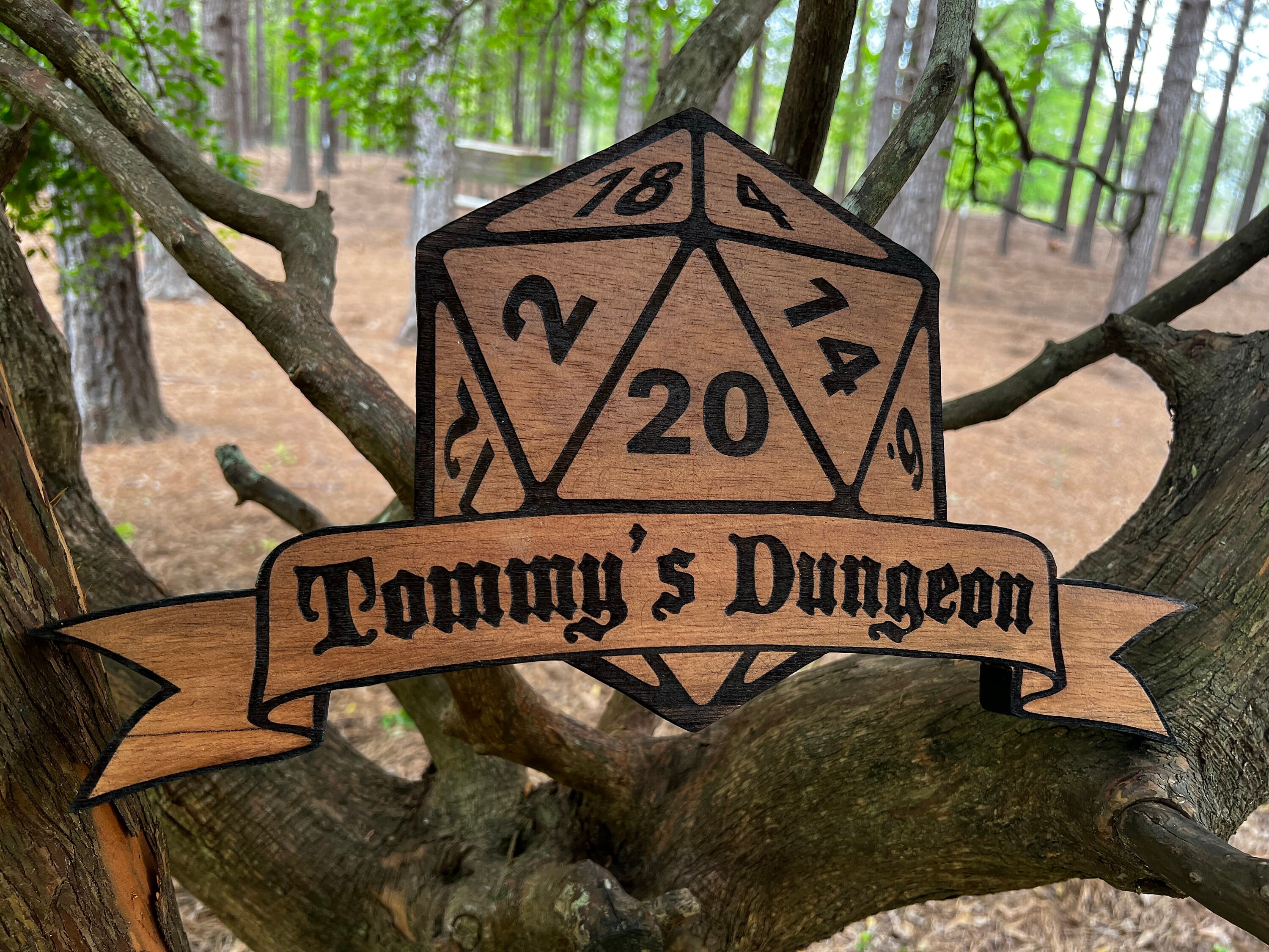 Personalized D20 Tavern Sign – Engraved Wood Dungeons and Dragons Decor ...