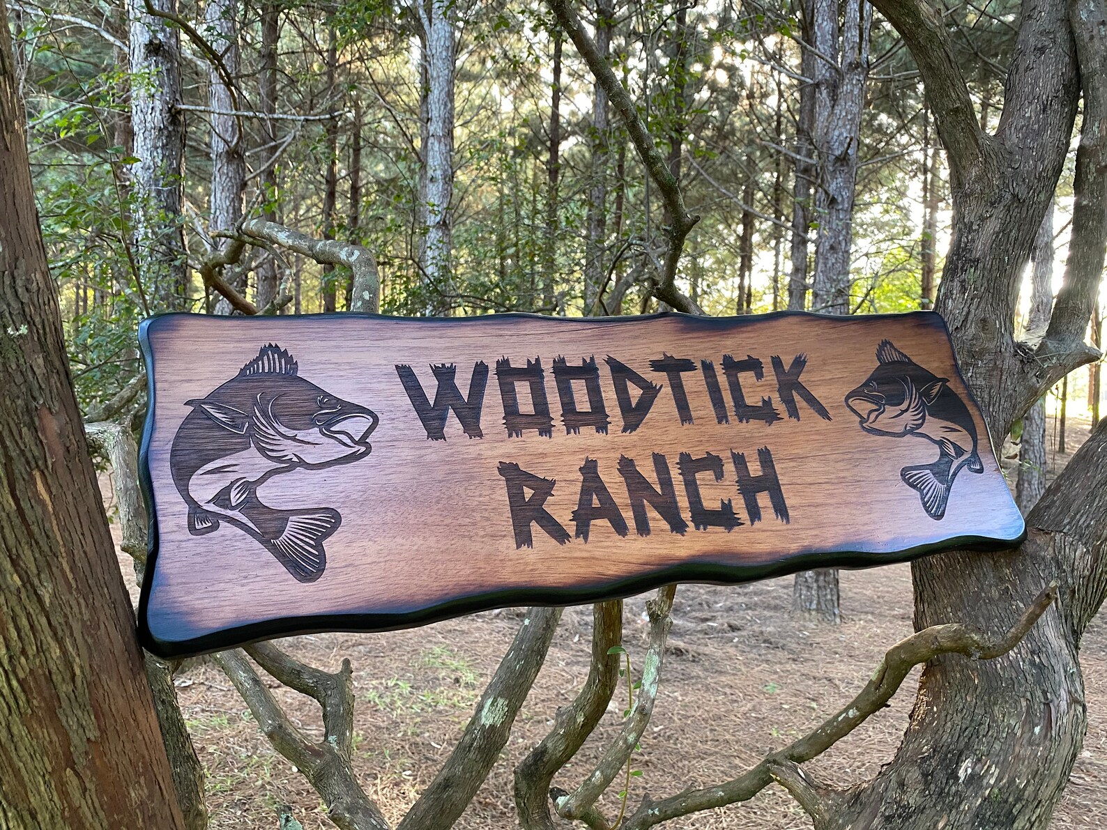 Wood Outdoor Lake House Sign, Personalized Fish Decor, Custom Carved ...